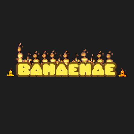 Portfolio FH Salzburg